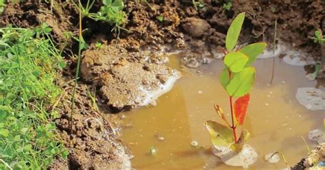 5 Acts Of Kindness By Shiza Arshad By Shiza Arshad Medium