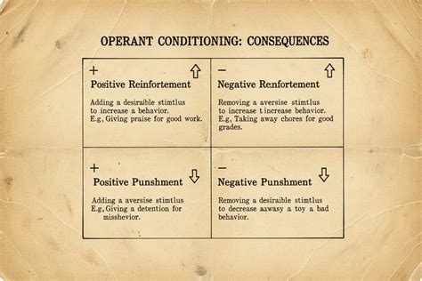Skinner Box Experiment How Operant Conditioning Shapes Behavior