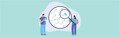 What Is Sperm Morphology And How Does It Affect Male Fertility