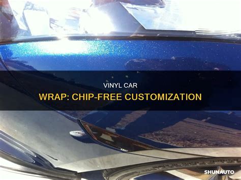 Vinyl Car Wrap Chip Free Customization Shunauto