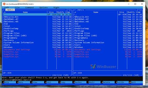 Windows 10 How To Install The Bash Shell Command Line Tool Subsystem For Linux Wsl Winbuzzer
