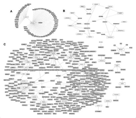 seovca ppi networks generated in pina for a node node b
