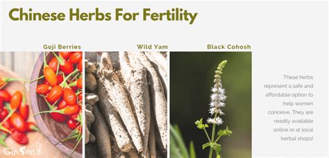 4 Best Chinese Herbs For Fertility Ginsen