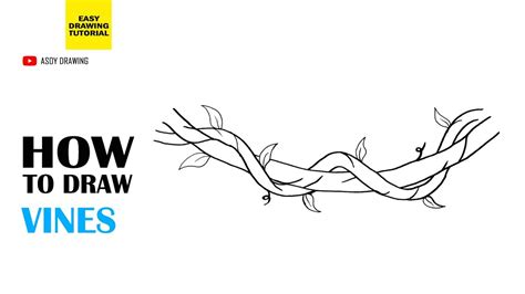 How To Draw Vines YouTube