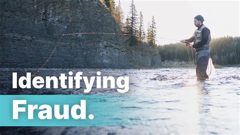 Synthetic Fraud And Identifying Global Fraud Patterns The Reach Network