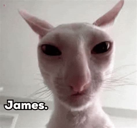 Scary Memes Funny S Find And Share On Giphy