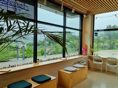 보편적 리빙 비내리는 통영 아침 세포마을 보편적카페 오픈 중 세찬비가 아니라서 다행