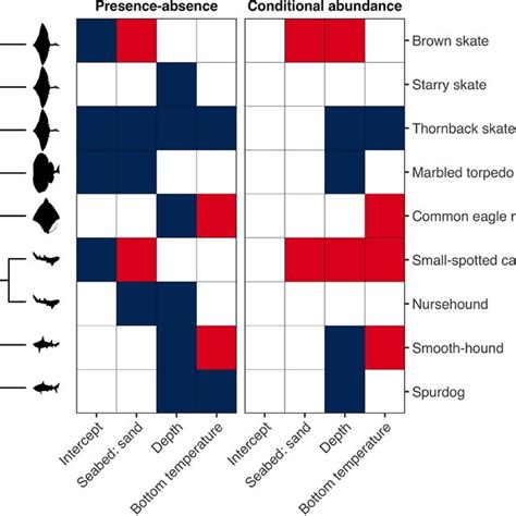 Heatmap Of The Estimated βdocumentclass 12pt Minimal Download