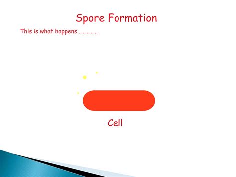 Bacterial Cell Structure Function Pptx Biological Sciences Science