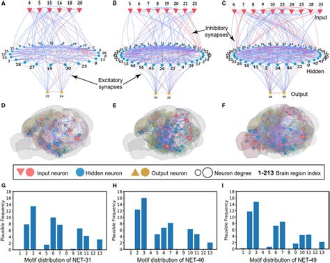 Schematic Diagrams Of Bts With Visualization Ac The 2d Download Scientific Diagram