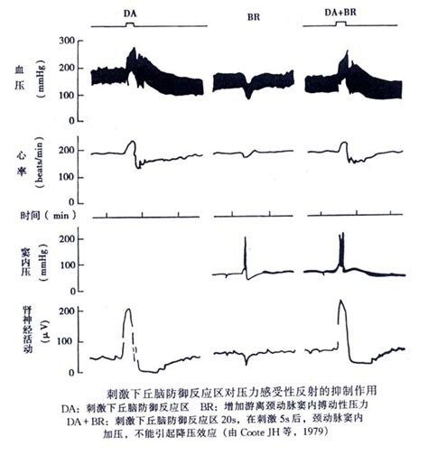 防御反应 《实用人体机能学》开放式书本——网络课本教材 课程在线阅读 实用人体机能学；药理学；课本；教材；书本；开放式；维基 Powered By Hdwiki