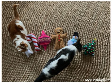 Bionic Basil® Home Of Basil And The B Team Catmas Crafting Rerun