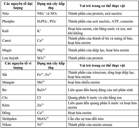 Lý Thuyết Bài 4 Vai Trò Của Các Nguyên Tố Khoáng Sinh Học 11 Hoc24