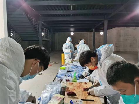 第三次全国畜禽遗传资源普查南阳牛屠宰性能测定工作在南阳完成普查动态畜禽普查河南畜牧兽医信息网