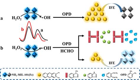 Schematic Presentation For Hcho Detection Based On Bifunctional Mof