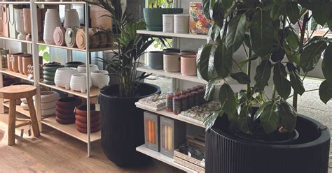 The Beach Willow Opens Its Doors Geelong Times