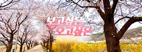 강원평창몰 맛과 건강을 한번에😉 강원도 평창에서 재배한 유기농 블루베리로 만든 유기블루베리 쨈 제초제나 농약은 No No 오로지 유기농법으로만 자연과 함께