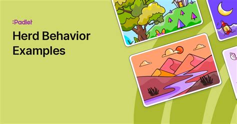 Herd Behavior Examples