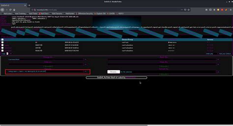 Bash Netcat Port Check Lulimetrix