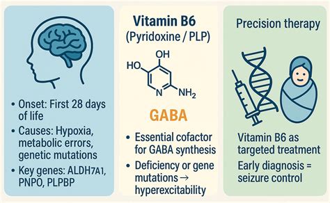 Is Vitamin B6 A Precision Therapy For Neonatal Seizures
