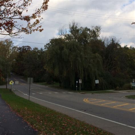 Yiying Zhang Boston University Ma Bu Amyloid Treatment And Research Center Research Profile