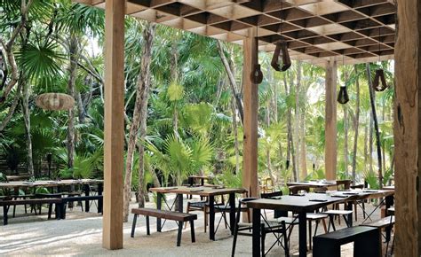 Exploración Y Contemplación Mercedes Benz Y Arca En La Selva Maya