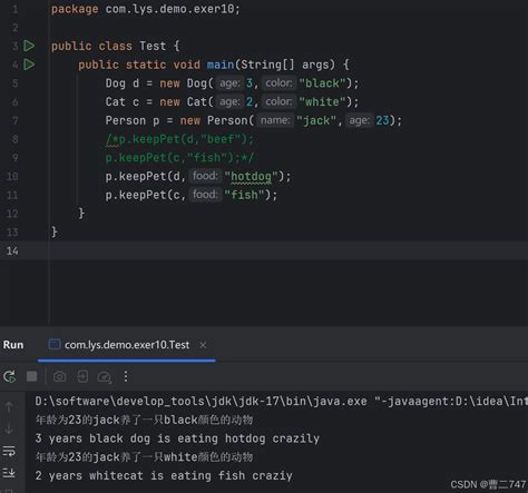 Java面向对象三大特征 Csdn博客