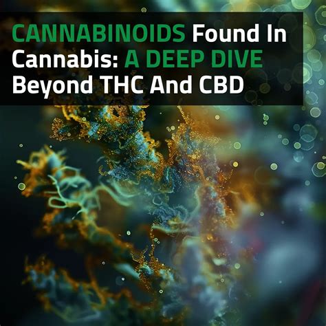 Cannabinoids Found In Cannabis A Deep Dive Beyond Thc And Cbd Vaperite