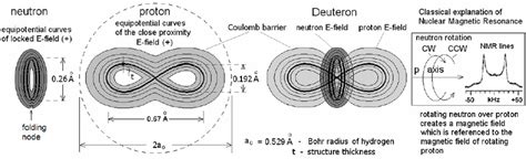 Overall Shape Of Neutron Proton And Deuteron In The Decay Of Neutron Download Scientific
