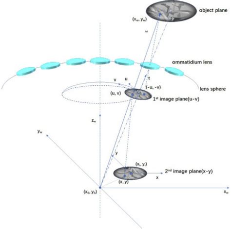 The Coordinates Used In The Re Projection Method Download Scientific Diagram