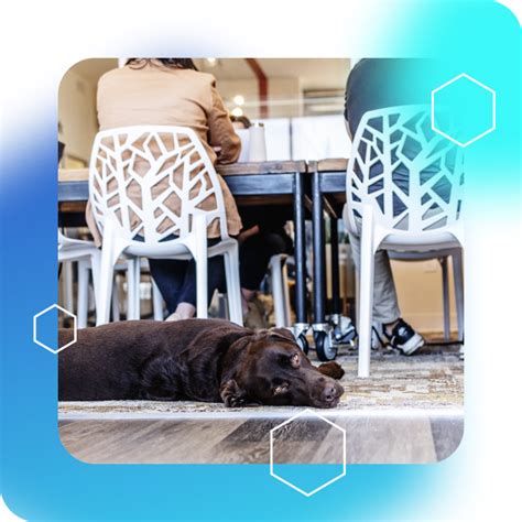 Qsr Case Study Stable Kernel