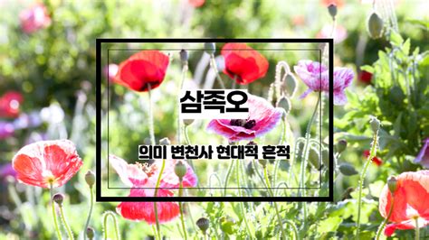 삼족오 동아시아의 태양신화 변천사 현대적 흔적들