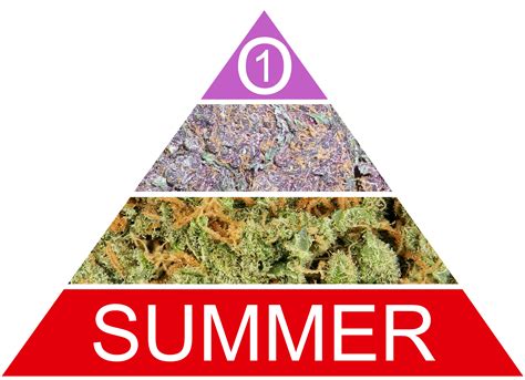 One Summer Herbanman