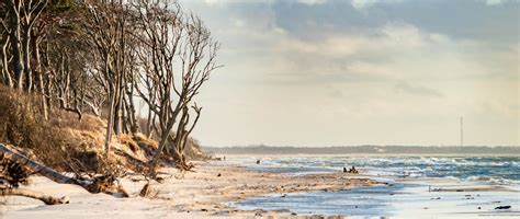 Ostseebad Prerow Darß Fischland