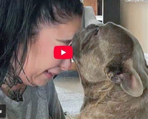 პოპულარული 🐾 რამდენად შორს წახვალთ თქვენი საუკეთესო მეგობრის სახლში