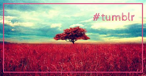 Pourquoi Les Marques Devraient Sint Resser Tumblr Netinfluence S Blog