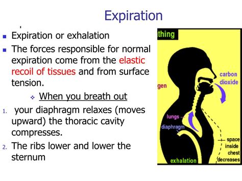 Ppt Chapter 16 Powerpoint Presentation Free Download Id548173