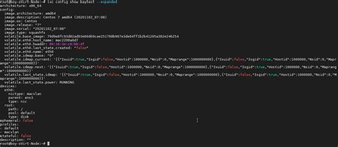 Container Cant Ping To Gateway Lxd Linux Containers Forum