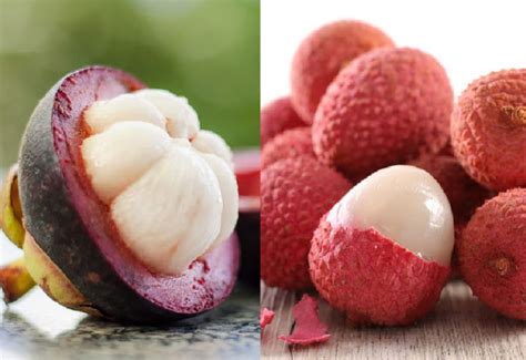 Mangosteen Vs Lychee Comparison Guide