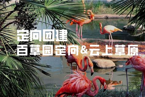 定向团建 安吉百草园定向 云上草原趣玩