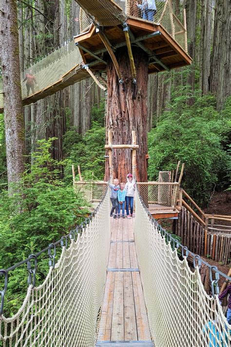 Planning A Visit To Trees Of Mystery In Klamath Ca Sunshine And