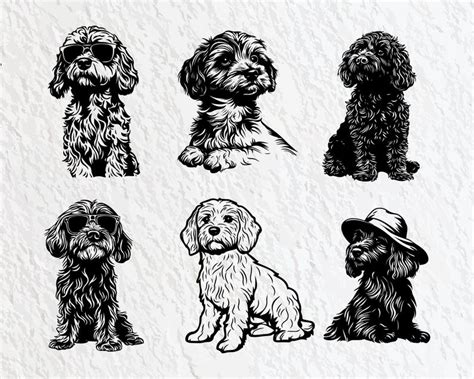 Cavapoo Dog Svg Bundle Cavapoo Dog Silhouette Cavapoo Dog Clipart Png