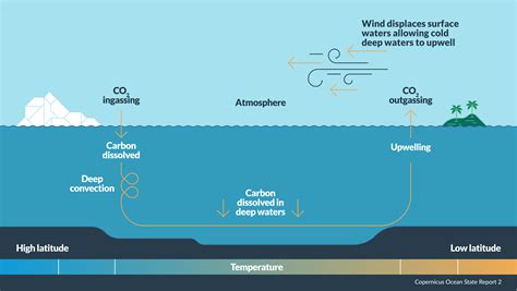 Carbon Storage Cmems