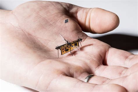 The First Wireless Flying Robotic Insect Takes Off Lifeboat News The Blog