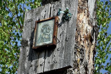 Tree Old Nature Free Photo On Pixabay Pixabay