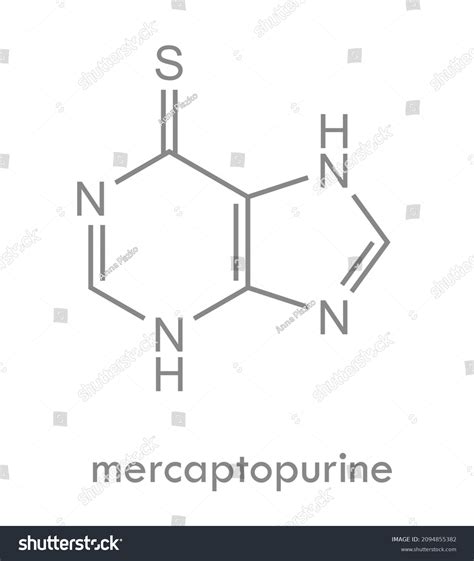 Mercaptopurine Structure Chemotherapy Drug Molecule Used Stock Vector Royalty Free 2094855382