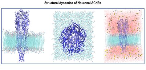 Tapan Nayak Group Kusuma School Of Biological Sciences Iit Delhi