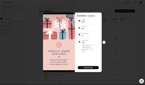 How To Promote A Snap In Profile Manager