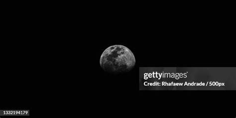 Buritis Photos And Premium High Res Pictures Getty Images