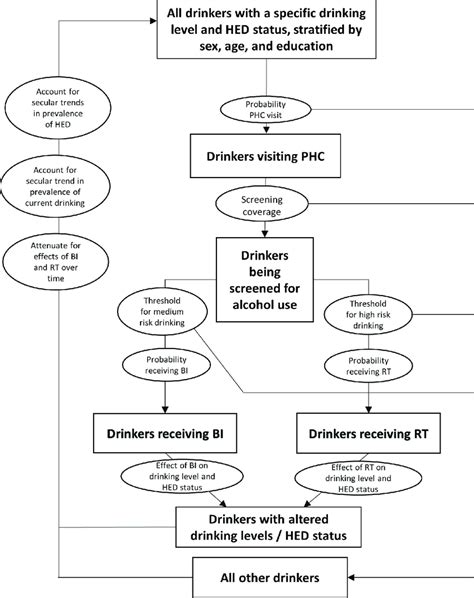 Flow Chart Of Simulation Procedure Round Shapes Represent Simulation Download Scientific